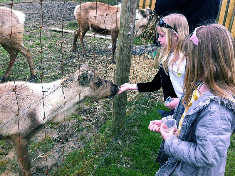 Knockhatch Adventure Park - Places to visit in East Sussex